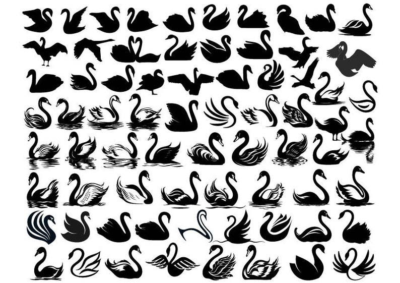SWAN SVG BUNDLE, Swan Svg, Swan Bundle Png, Swan Clipart, Swan Cut ...