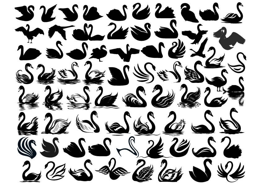 SWAN SVG BUNDLE, Swan Svg, Swan Bundle Png, Swan Clipart, Swan Cut ...