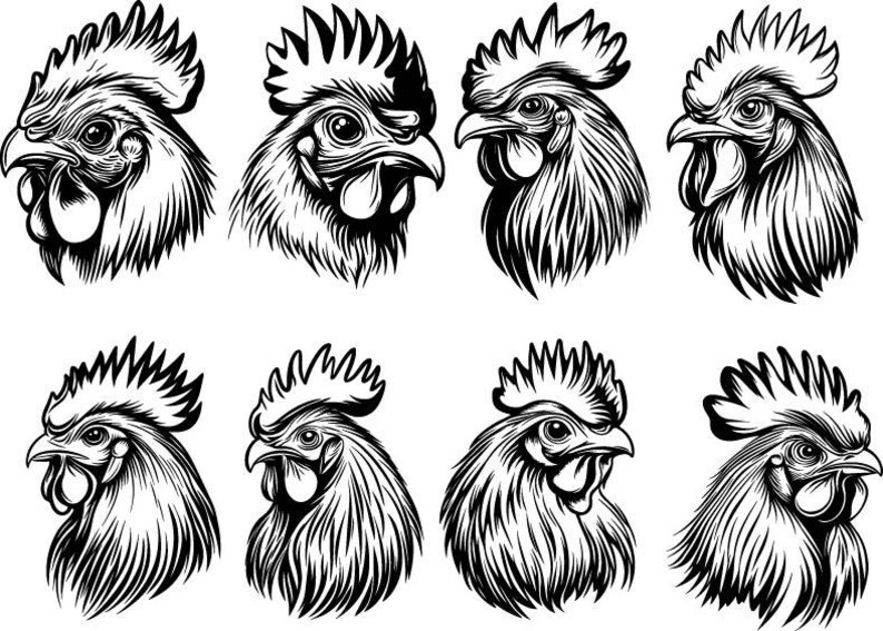 Chicken Bundle Svg, Chicken Head Svg, Chicken Clipart, Rooster Clipart ...