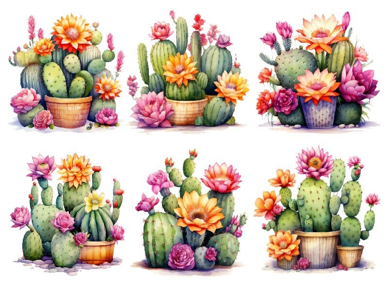 Watercolor Desert Cactus Clipart, Watercolor Cactus Png, Succulent ...