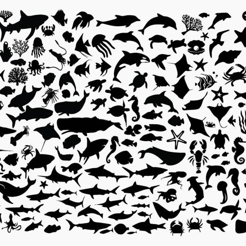 Sea Animals Prints Paper - Etsy