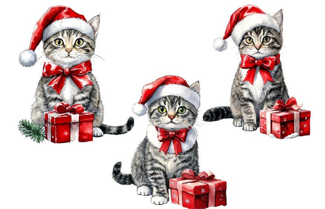 Christmas Cat Clipart, Watercolor Christmas Cat Png, Cat With Santa Hat ...