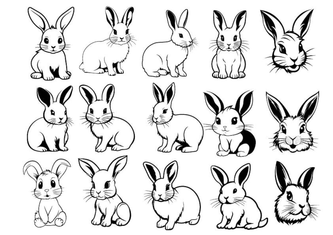 Cute Bunny Svg, Bunny Bundle Svg, Rabbit Svg, Easter Bunny Svg, Bunny ...
