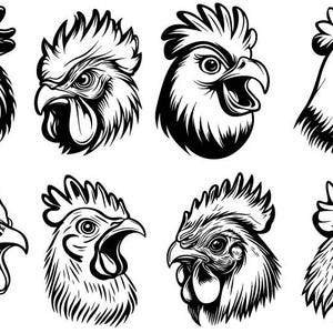 Crazy Chicken Svg, Funny Chicken, Chicken Clipart, Chicken Cut Files ...