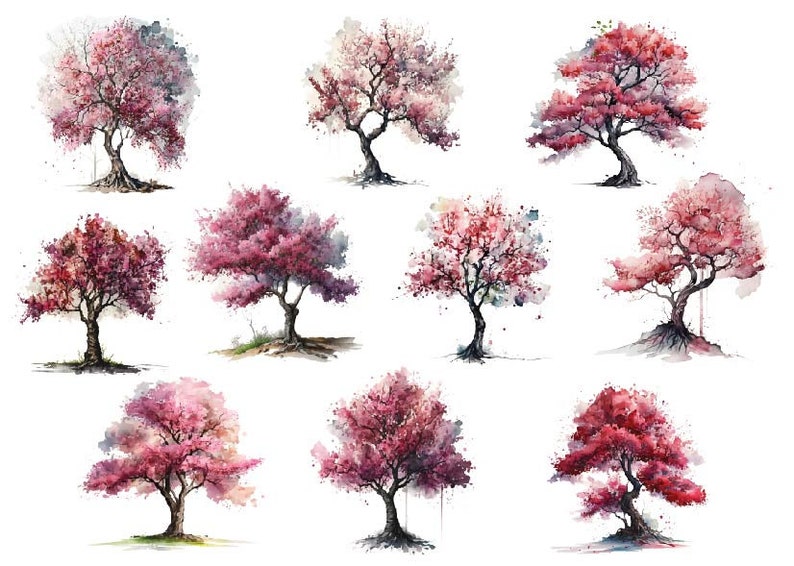 CHERRY TREE PNG Cherry Tree Watercolor Sakura Tree - Etsy