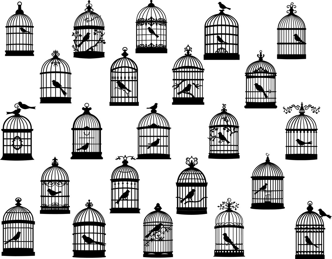 Bird Cage Svg, Bird Cage Clipart, Bird Cage Vector, Vintage Svg, Garden ...