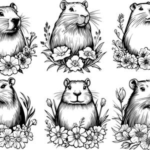 Cute Capybara PNG, Capybara SVG Bundle, Capybara Clipart, Capybara ...