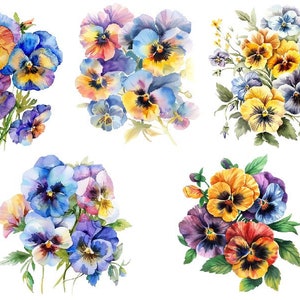 Watercolor Pansy Flowers Clipart Bundle, Pansy Flowers Png, Watercolor ...