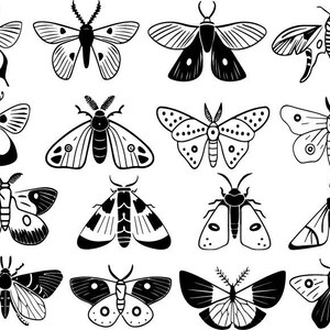 Moth Svg Bundle, Moth Clipart, Moth Cut Files for Cricut, Butterfly Svg ...