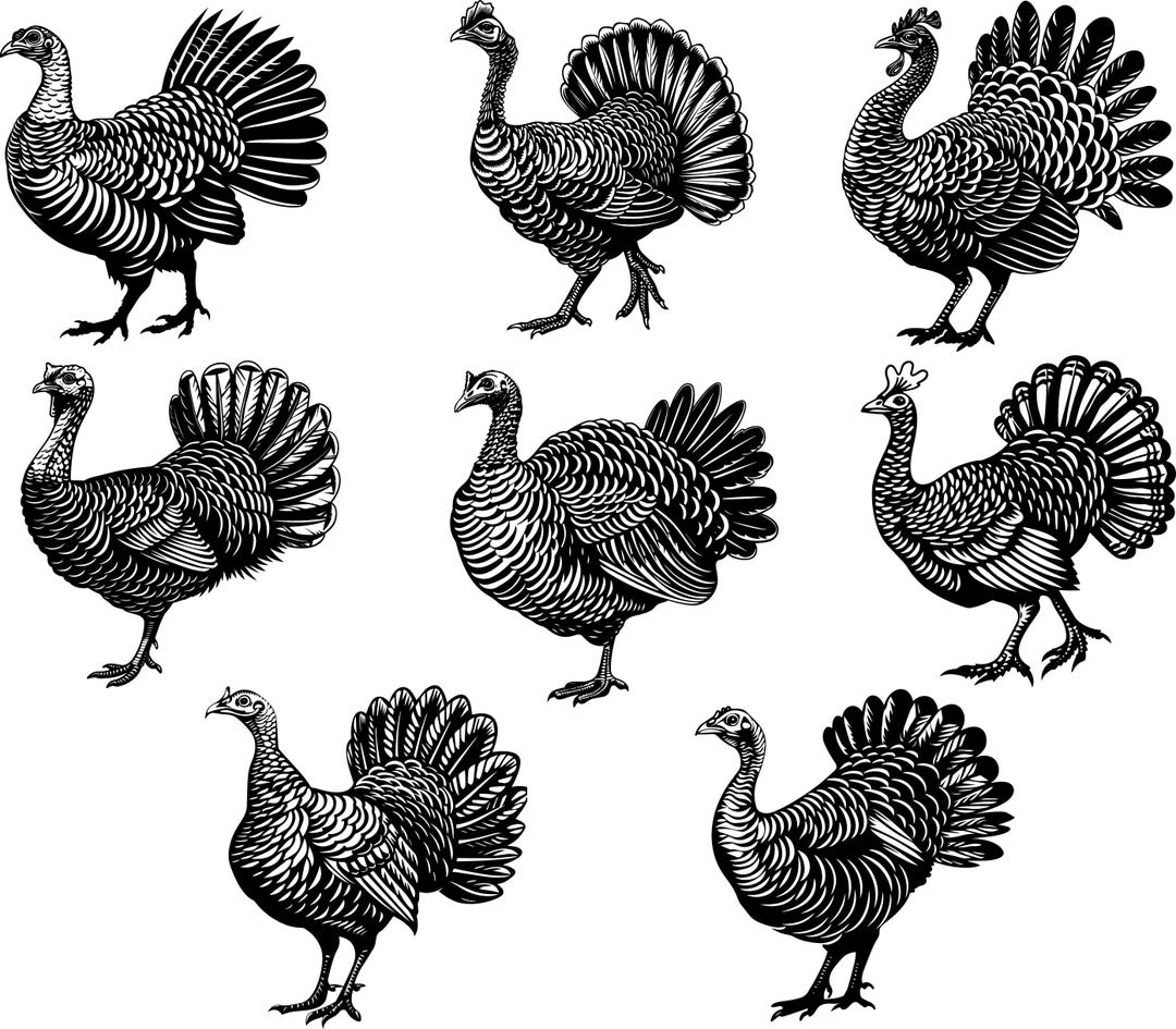 Turkey Svg Bundle, Turkey Clipart, Turkey Vector, Thanksgiving Turkey ...