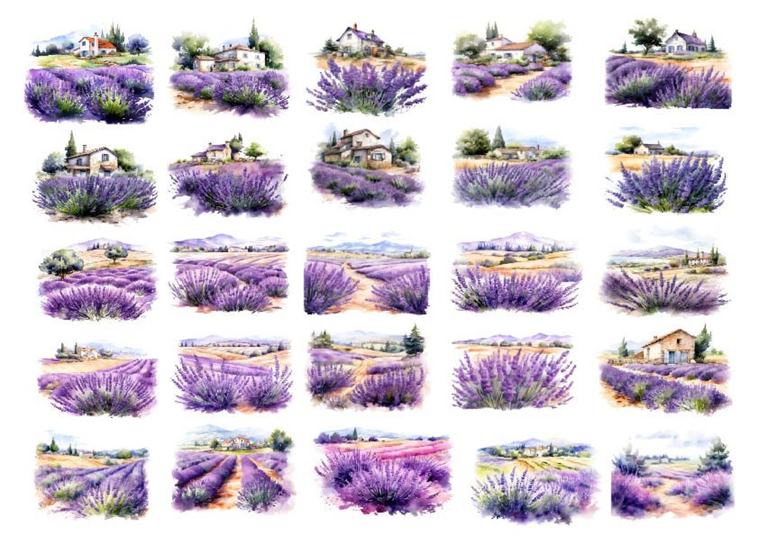 Lavender Clipart Bundle, Watercolor Lavender Clipart, Watercolor ...