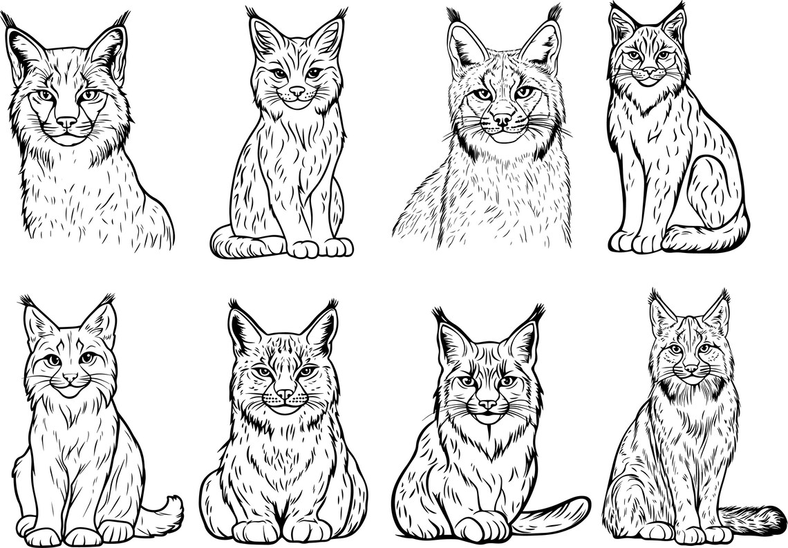 Wild Cat Svg, Wildlife Svg, Cat Clipart, Cat Cut Files for Cricut ...