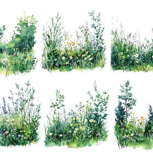 Watercolor Meadow Clipart, Watercolor Summer Greenery, Summer Landscape ...
