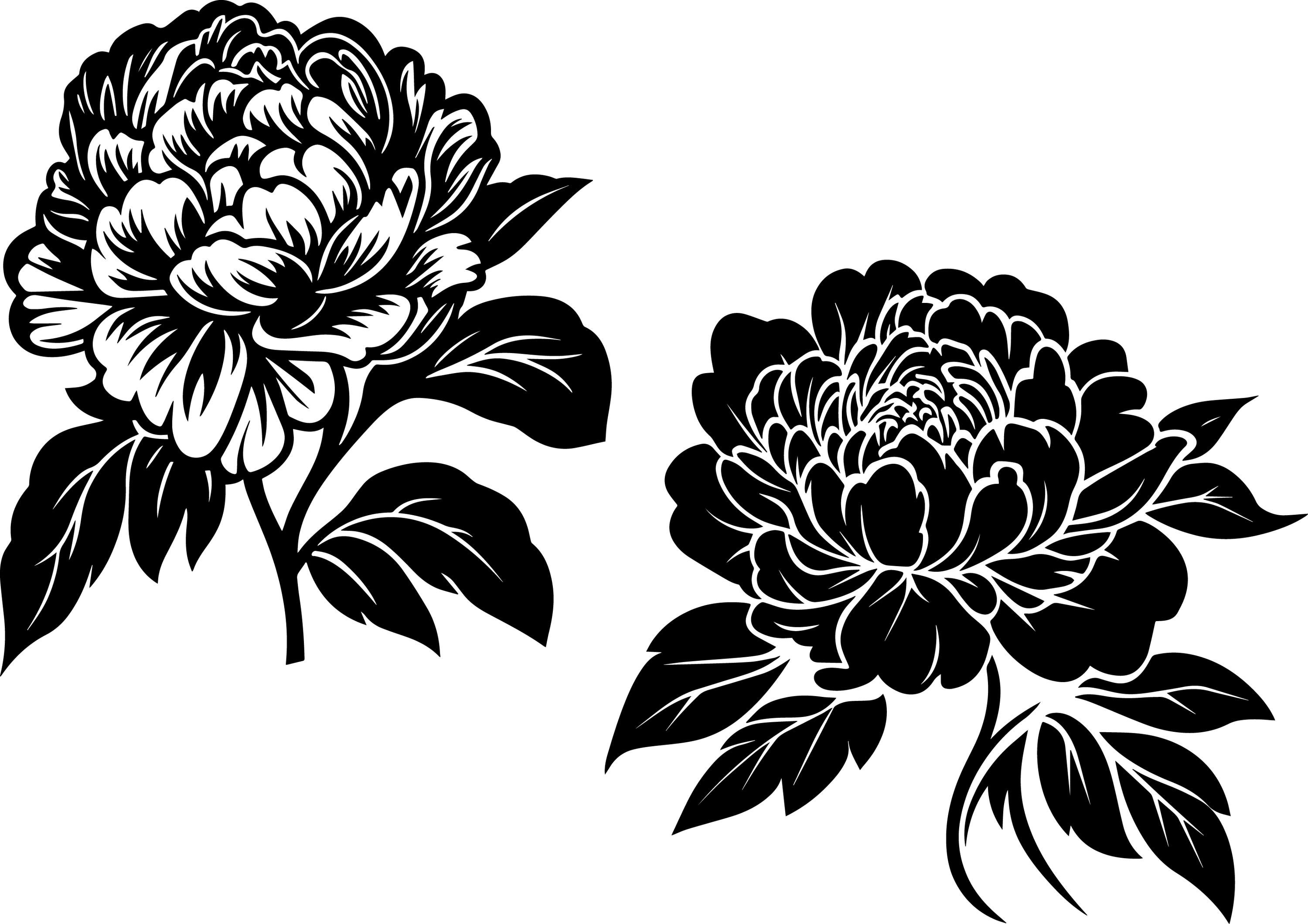 Peony Svg Bundle, Peony Flower Svg, Peony Clipart, Peony Cut Files for ...