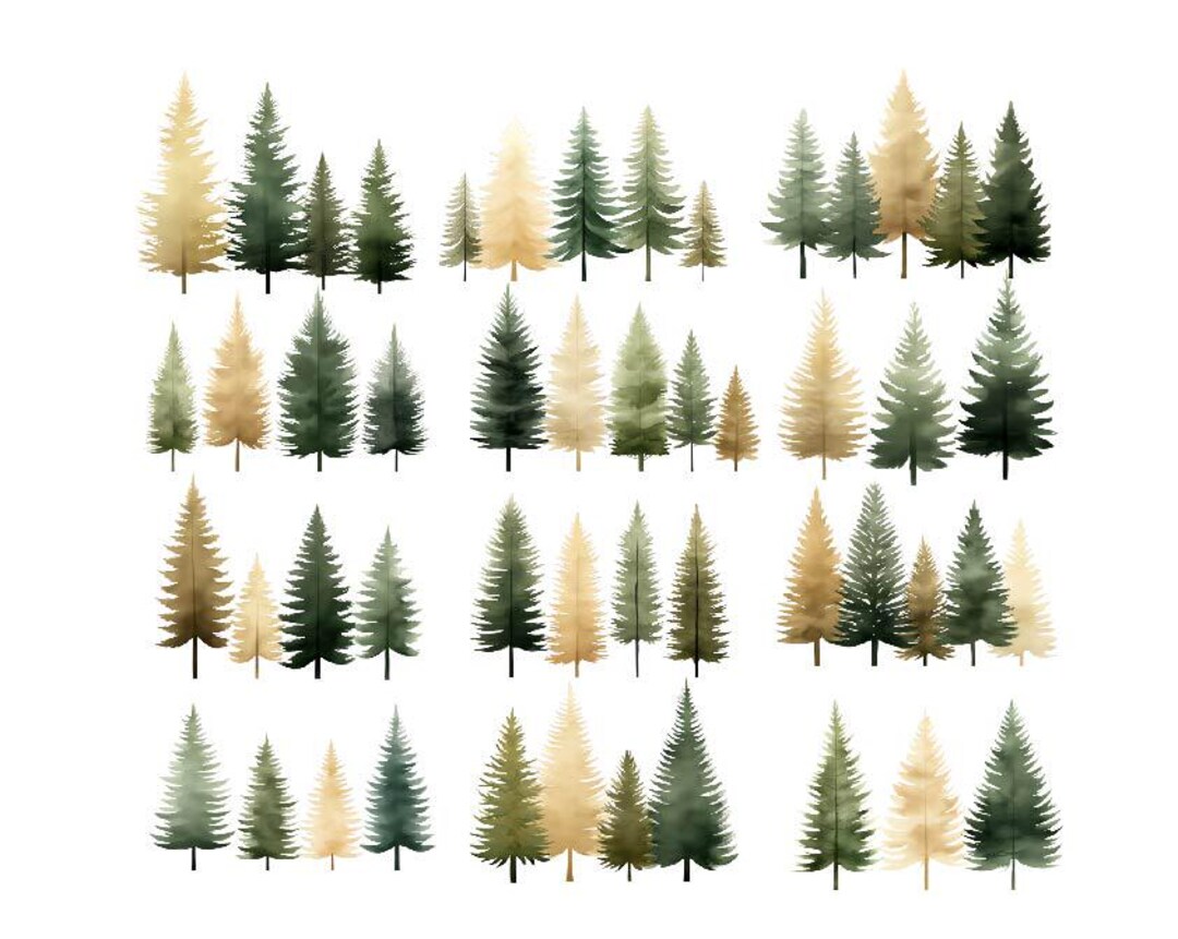 Watercolor Simple Pine Tree, Pine Tree Clipart, Watercolor Pine Tree ...