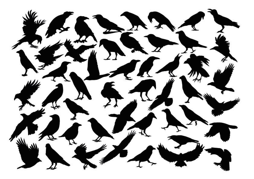 CROW SVG , Raven Svg , Bird Svg, Crow Silhouettes, Dark Crow Svg , Crow ...