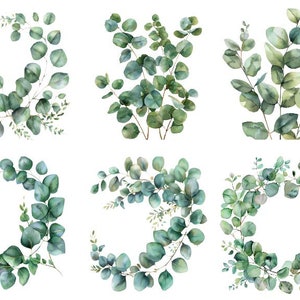 Watercolor Eucalyptus Clipart, Wedding Clipart, Botanical Clipart ...