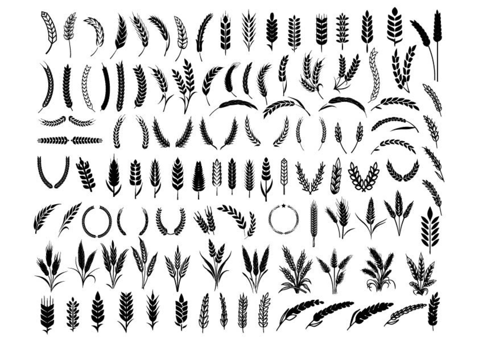 WHEAT SVG Bundle, Grain Svg, Wheat Clipart, Wheat Cut Files for Cricut ...