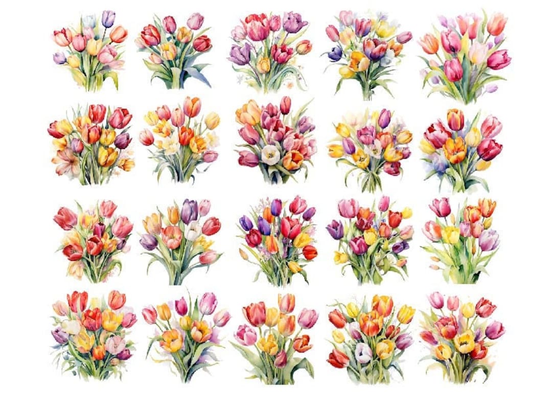 Watercolor Tulips Clipart, Spring Clipart Png, Tulips Clipart Bundle ...