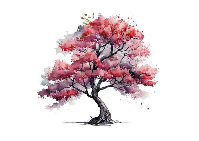 CHERRY TREE PNG Cherry Tree Watercolor Sakura Tree - Etsy