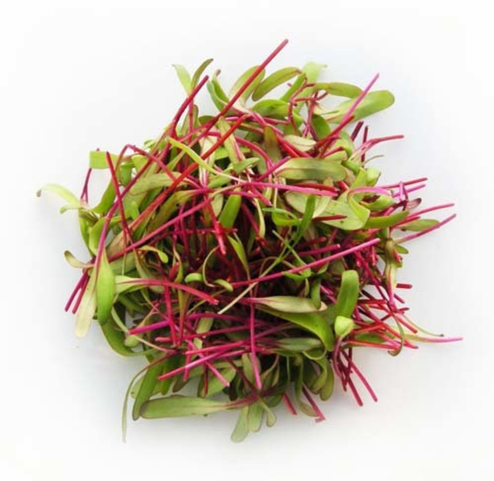 Beet Leaf Blood Red Beetroot Microgreens for Salad Garnish - Etsy UK