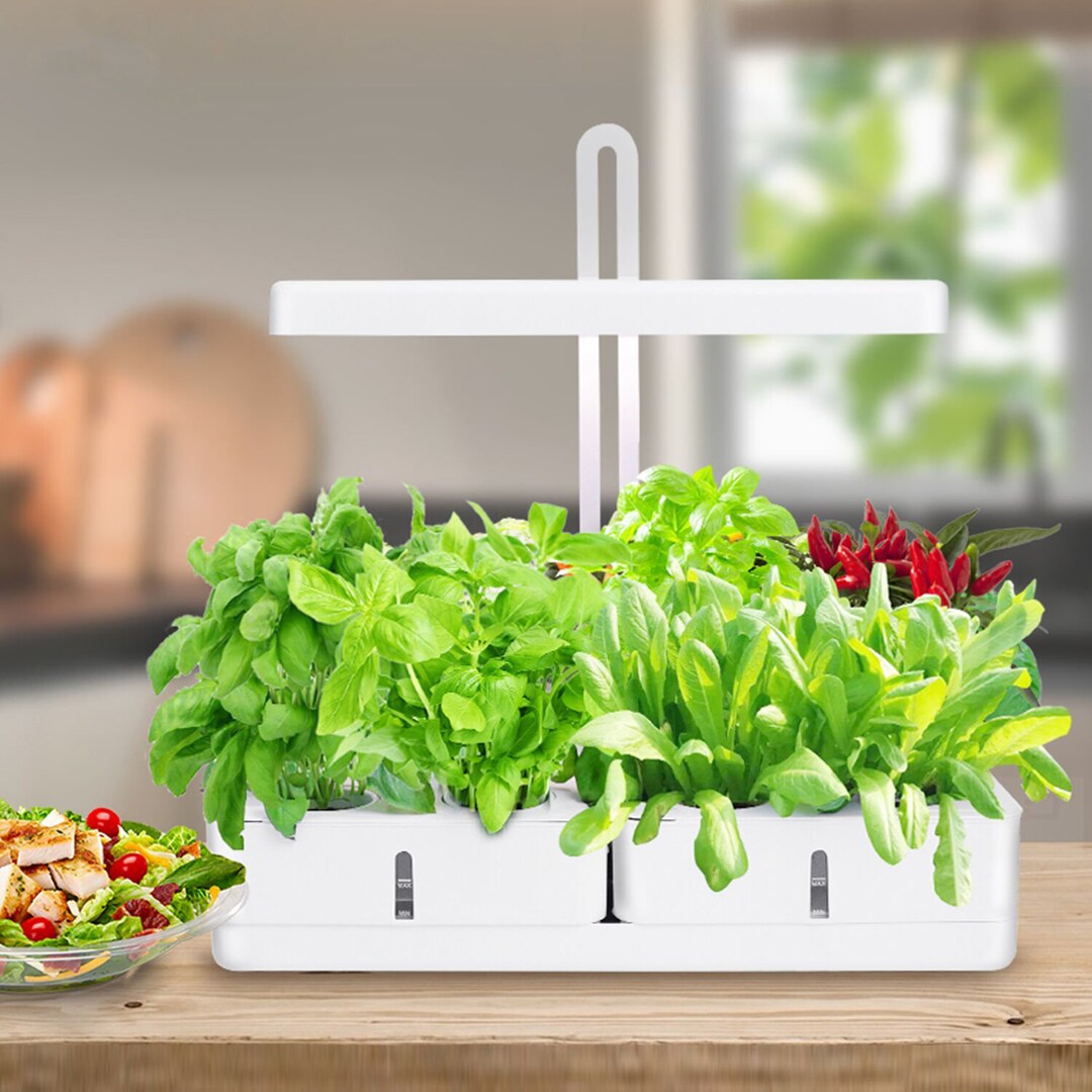 Indoor Garden Hydroponic Growing System Perfect for Growing Houseplants ...