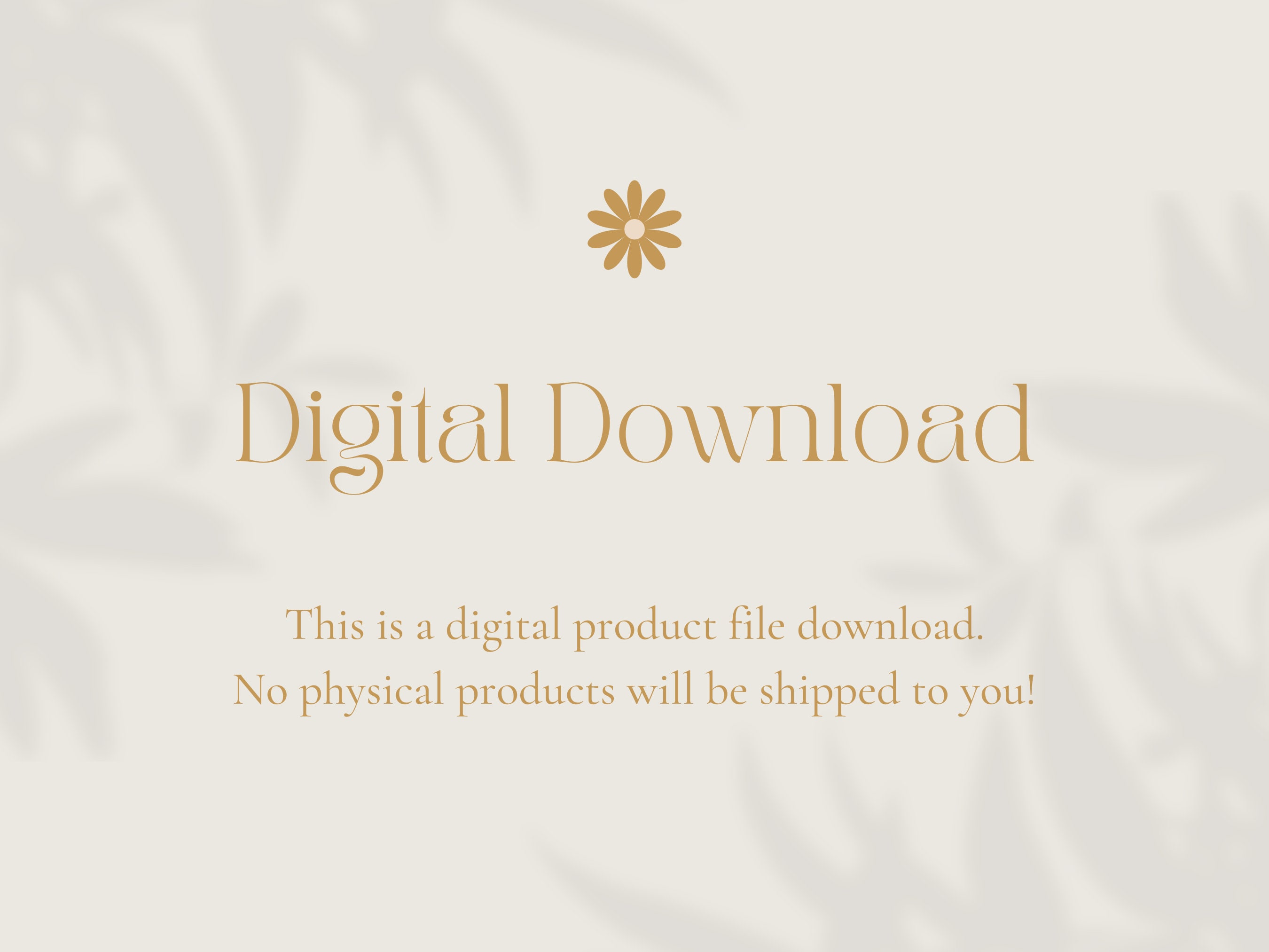 Bright and Bohemian Boho Branding Logo Package Small - Etsy