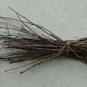 80 Almond Twigs, Branches Assorted Sizes for Raw Natural Crafts ...