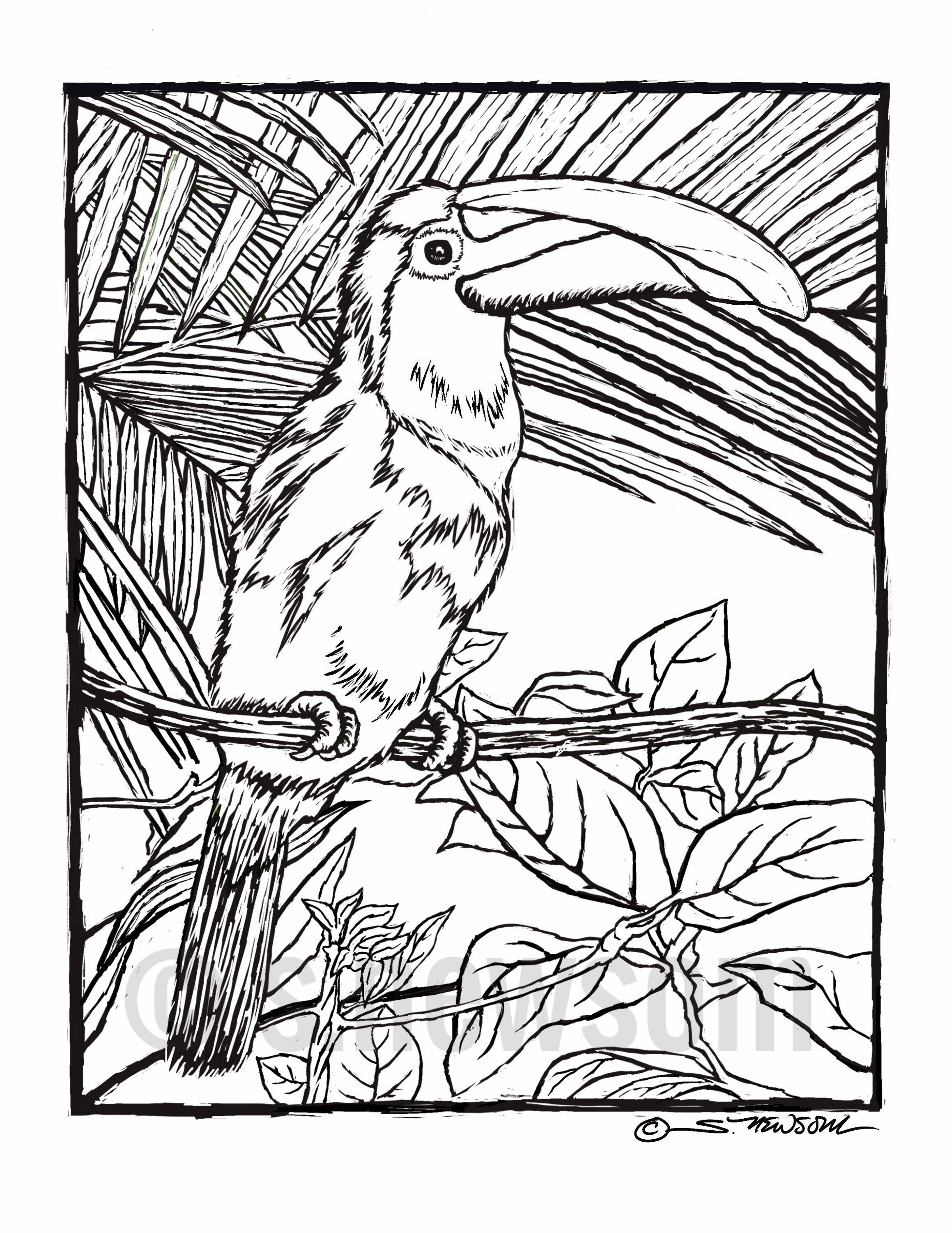 Toucan in the Jungle /instant DIGITAL Download Coloring Page/coloring ...