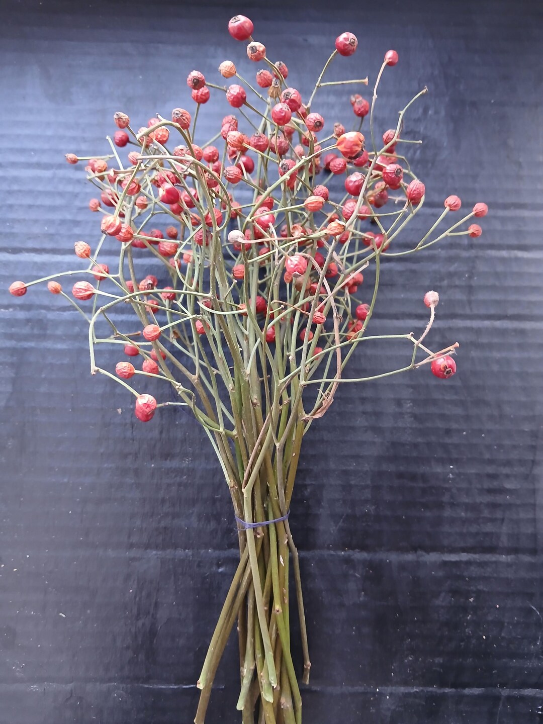 100 Real Rosehip Stems Real Real Specimen Wild Decor Resin Home ...
