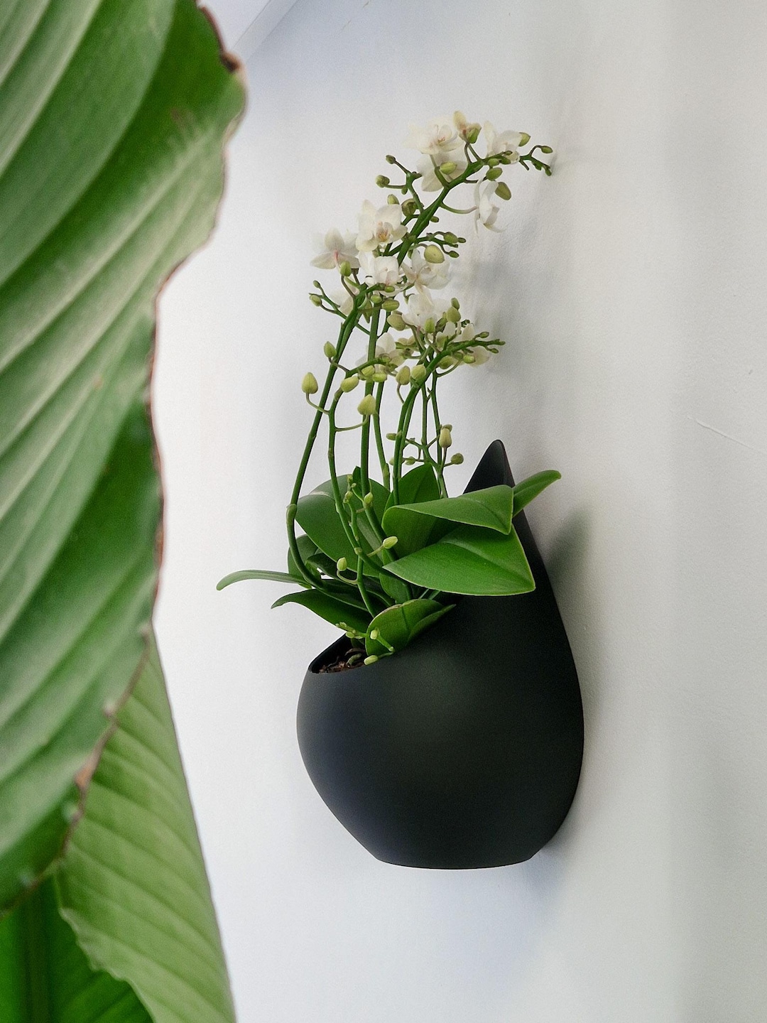 Wall Hang Planter, Indoor Modern Design Plant Hanger, Succulent Drop ...