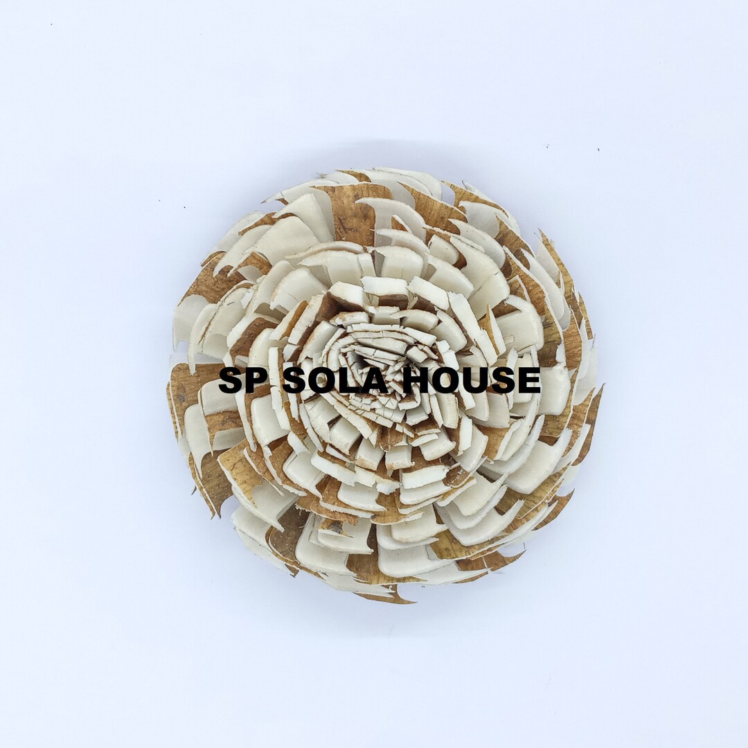 Bark Sola Wood Flowers- Chorka, Artificial Flower for Decoration ...