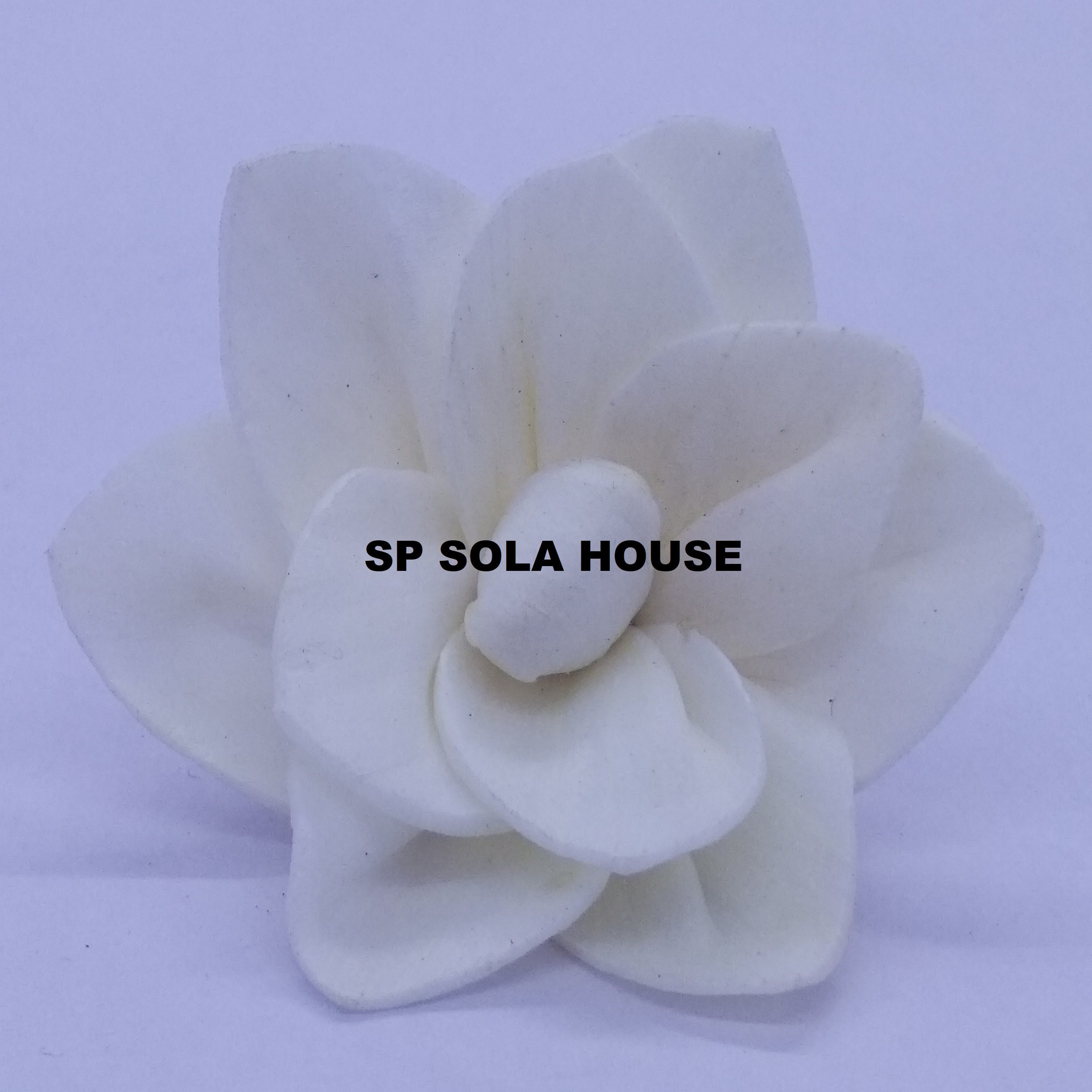 100 Sola Wood Flower Ankhi Balsa Wood Flower Artificial - Etsy
