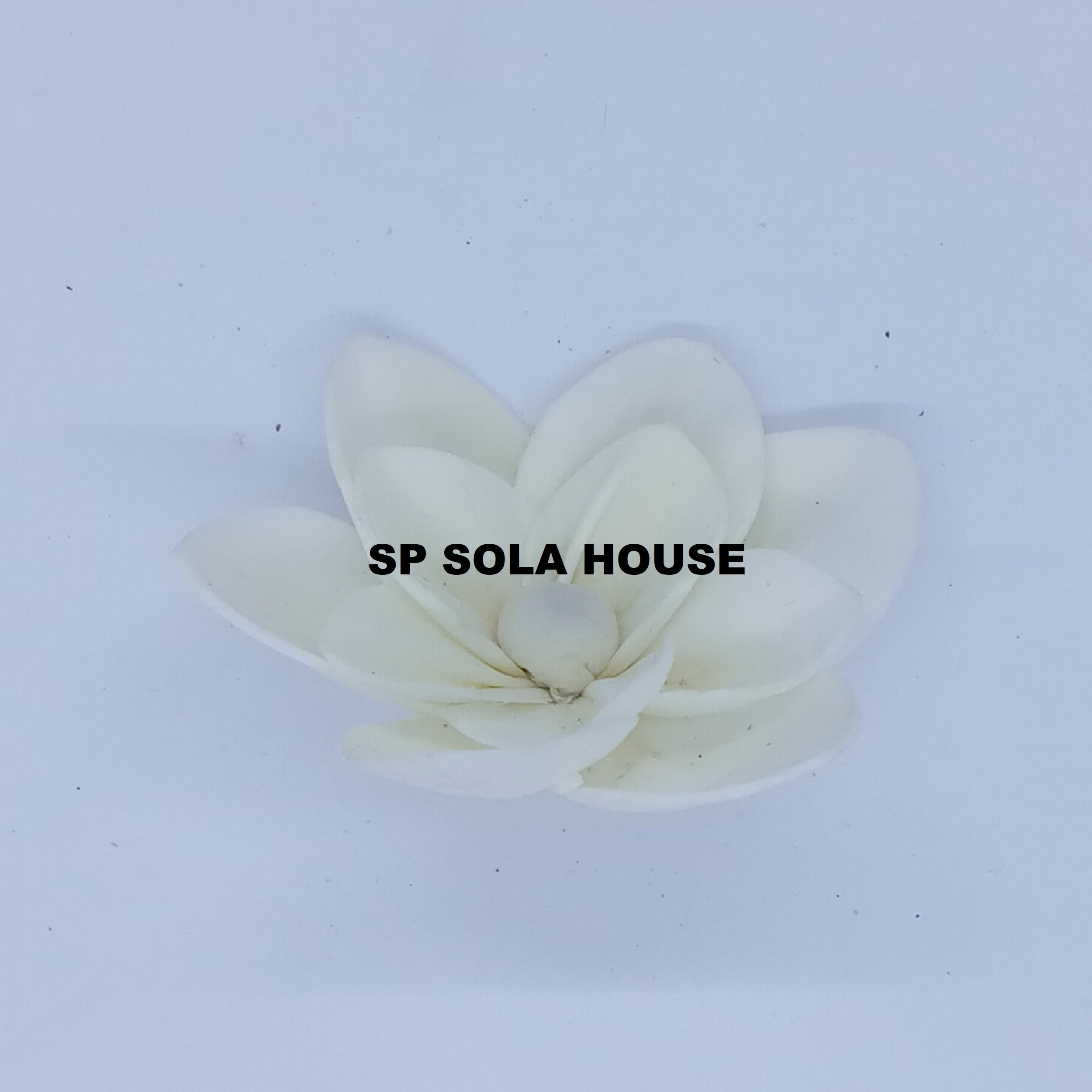 100 Sola Wood Flower Ankhi Balsa Wood Flower Artificial - Etsy