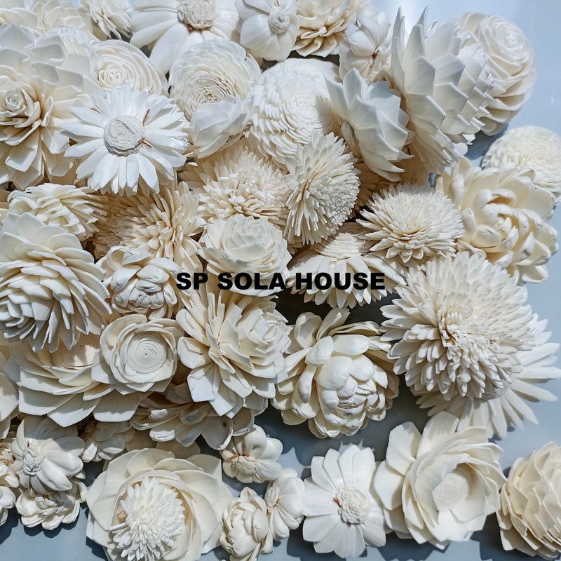 Sola Wood Flowers Carnation - Etsy