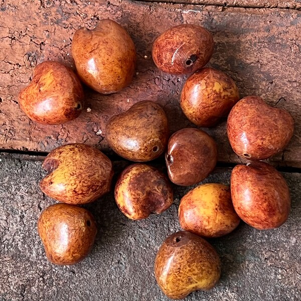 Tagua Nut Jewelry - Etsy