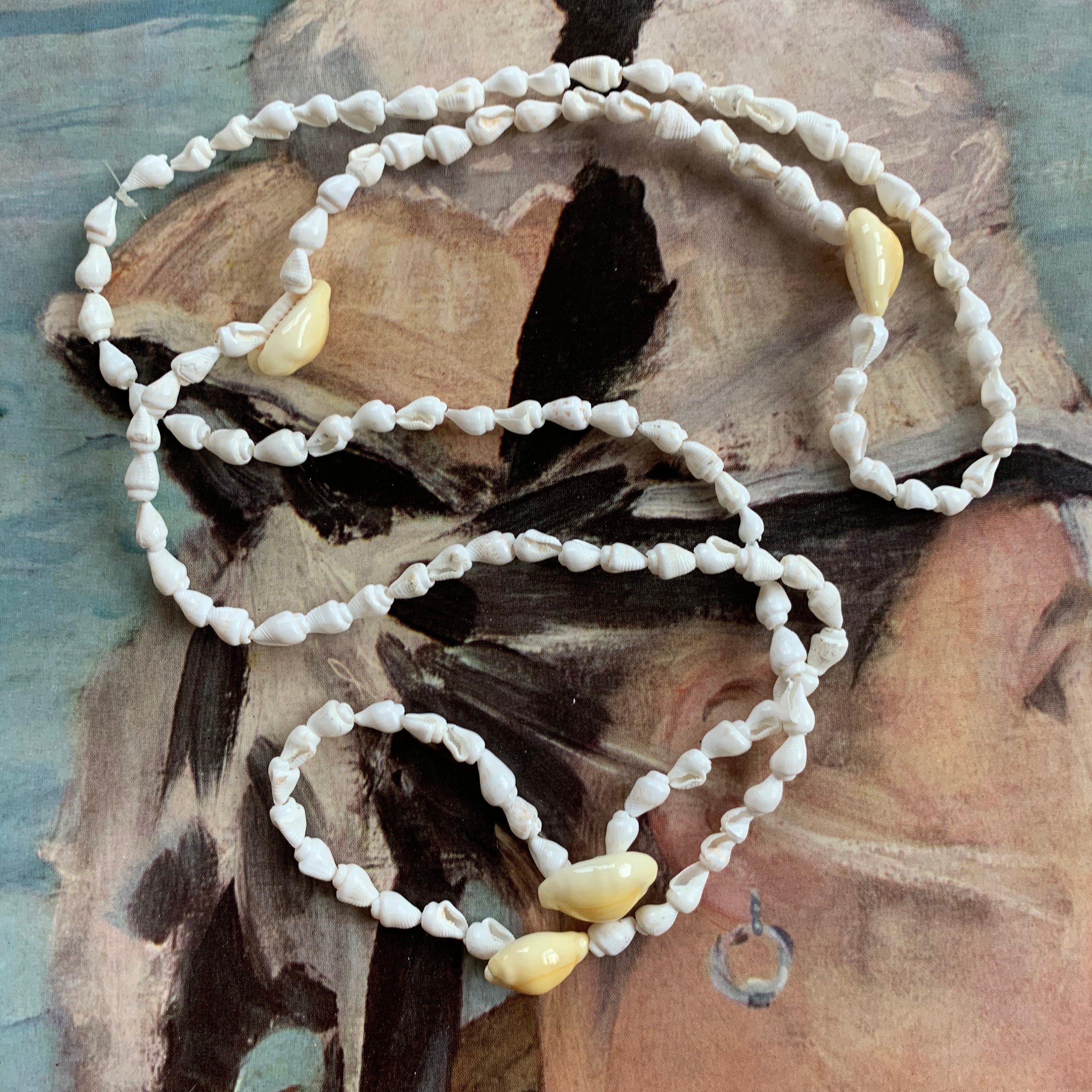 Vintage 5 Shell Strand Seashells Strand Tropical Beach - Etsy