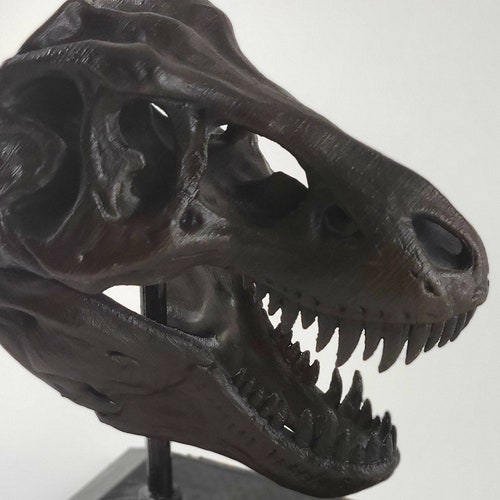 DINOSAUR T-REX SKULL Tyrannosaurus Bone Wax Seal Stamp or Wax - Etsy