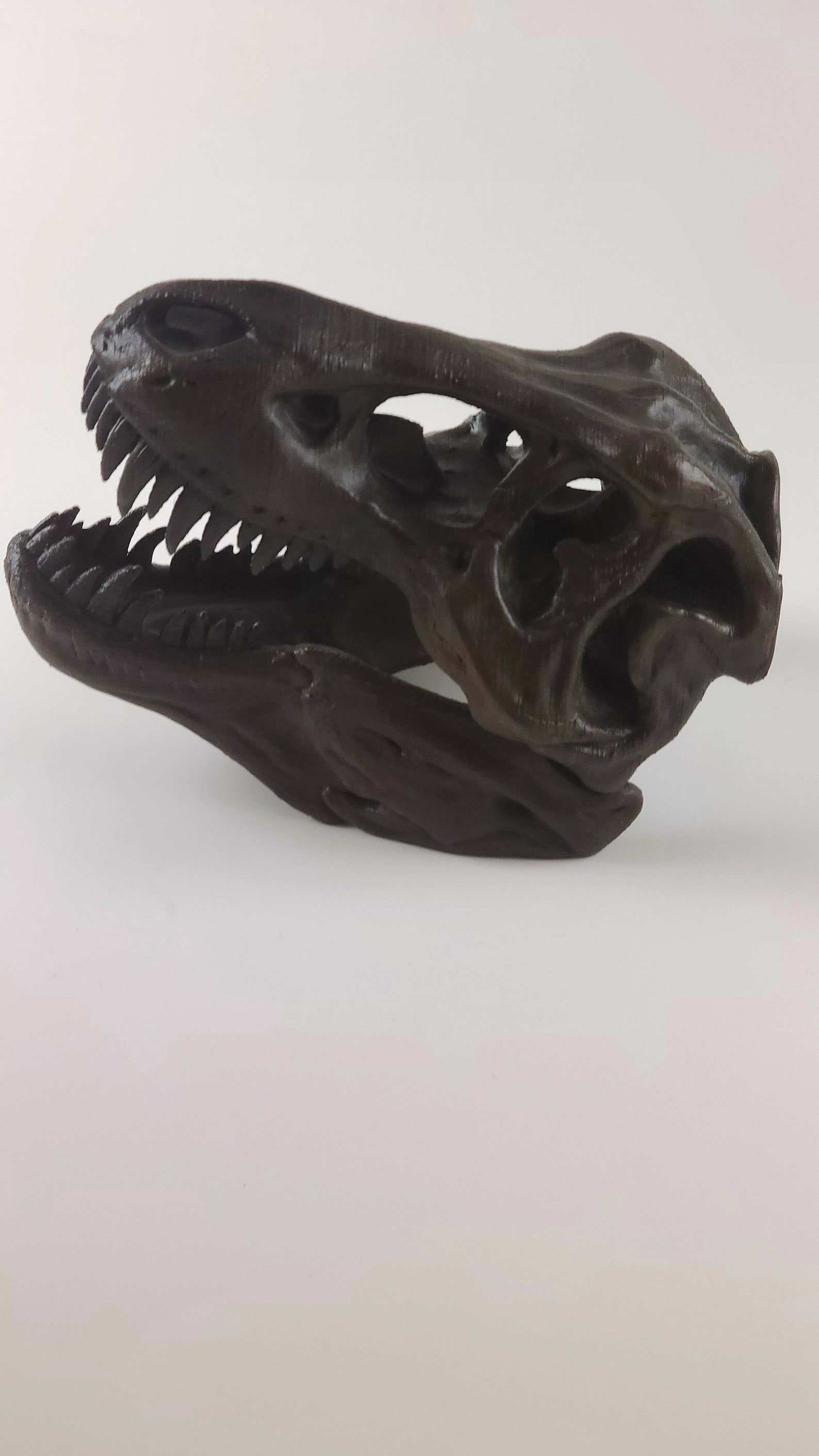 Tyrannosaurus Rex t-rex Skull - Etsy