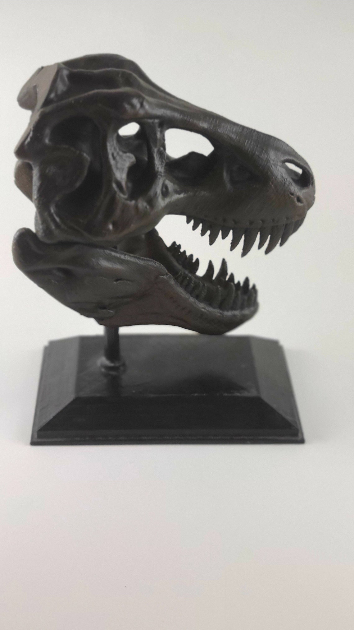 Tyrannosaurus Rex t-rex Skull - Etsy