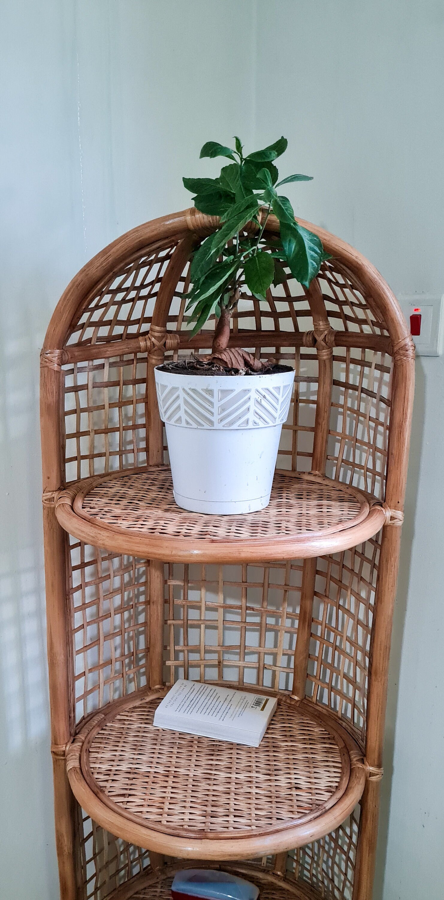 4-tier Round Edged Rattan Wicker Corner Shelf Boho Corner - Etsy Canada