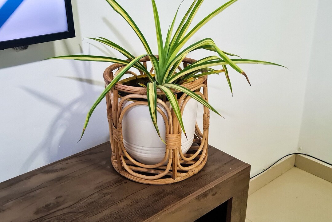 Rattan Plant Stand and Clay Pot Set Rattan Bamboo Plant - Etsy