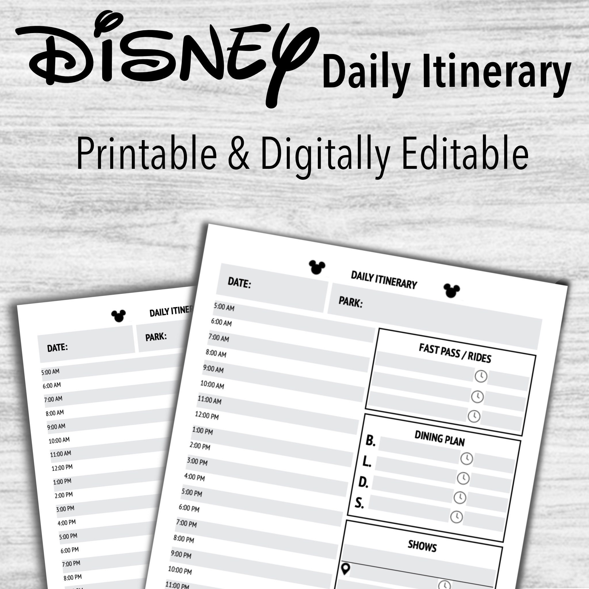 EDITABLE Disney Vacation Daily Itinerary Planner Pages | Etsy Canada