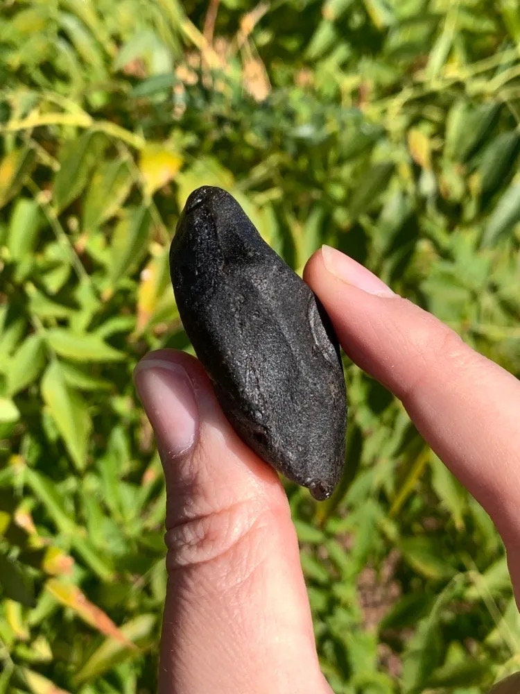 Colombianite Pseudotektite, Colombian Tektite, Obsidianite - Etsy