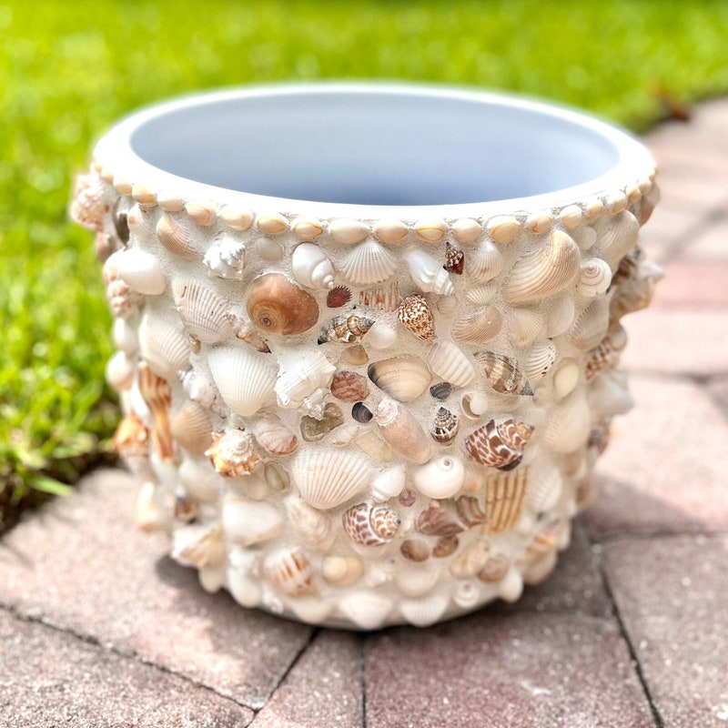 Shell Planter - Etsy