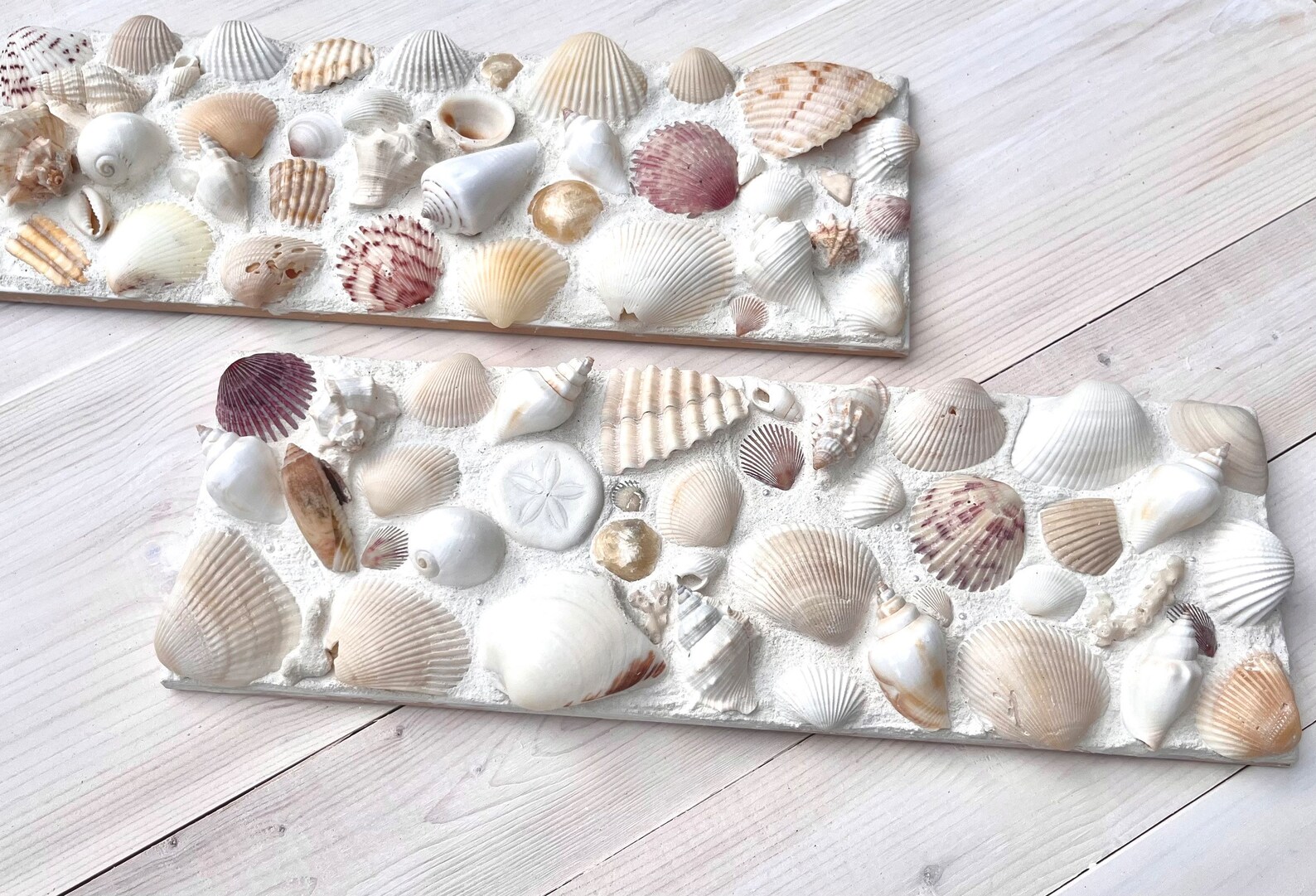 Seashell Coastal Decorative Tiles Custom Deco Tile Shell - Etsy