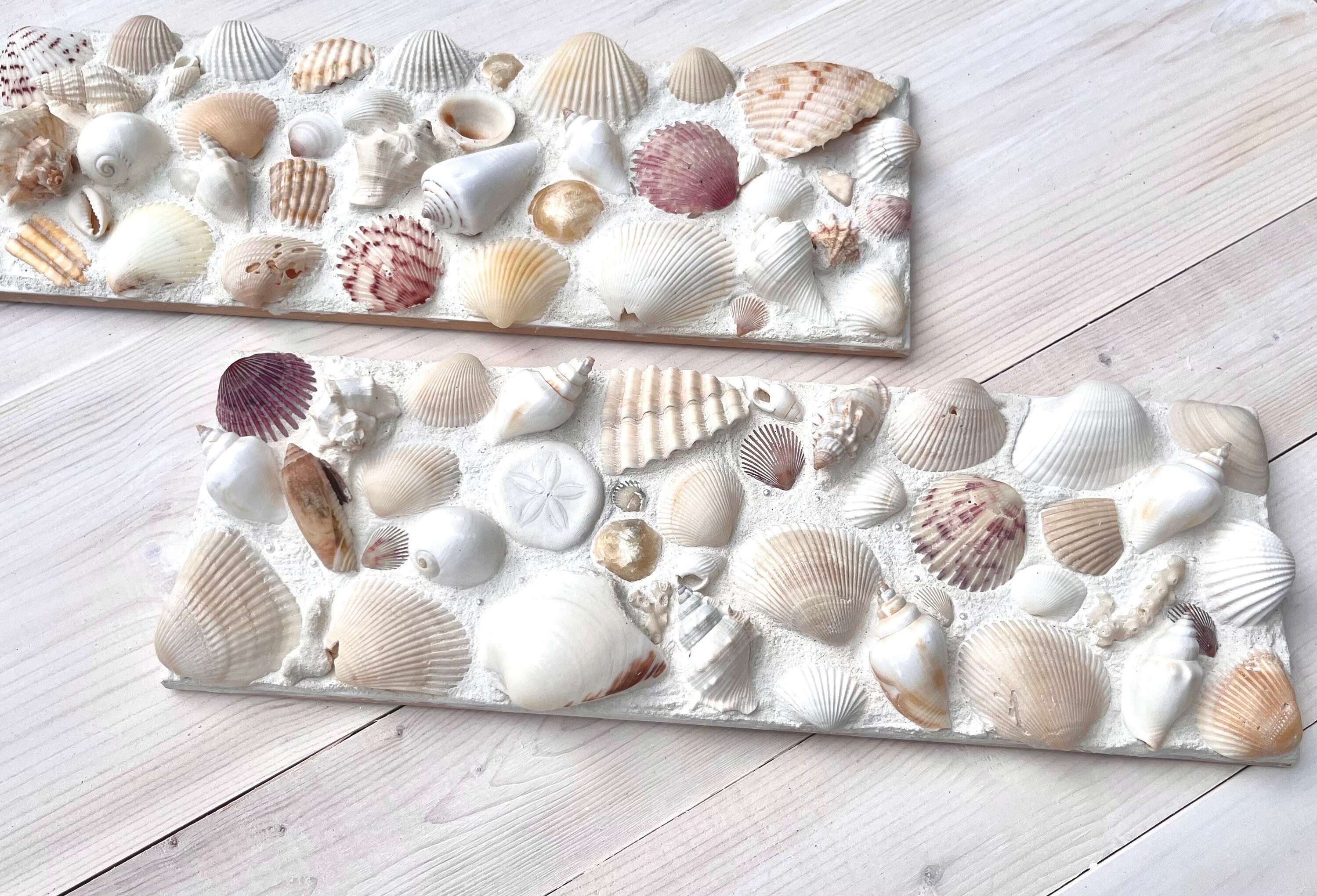 Seashell Coastal Decorative Tiles Custom Deco Tile Shell - Etsy