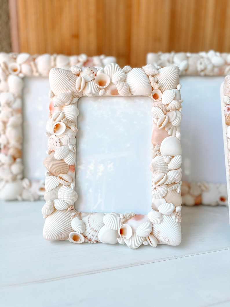 Seashell Picture Frame, 4x6 or 5x7, Palm Beach Chic Decor, Pink and ...