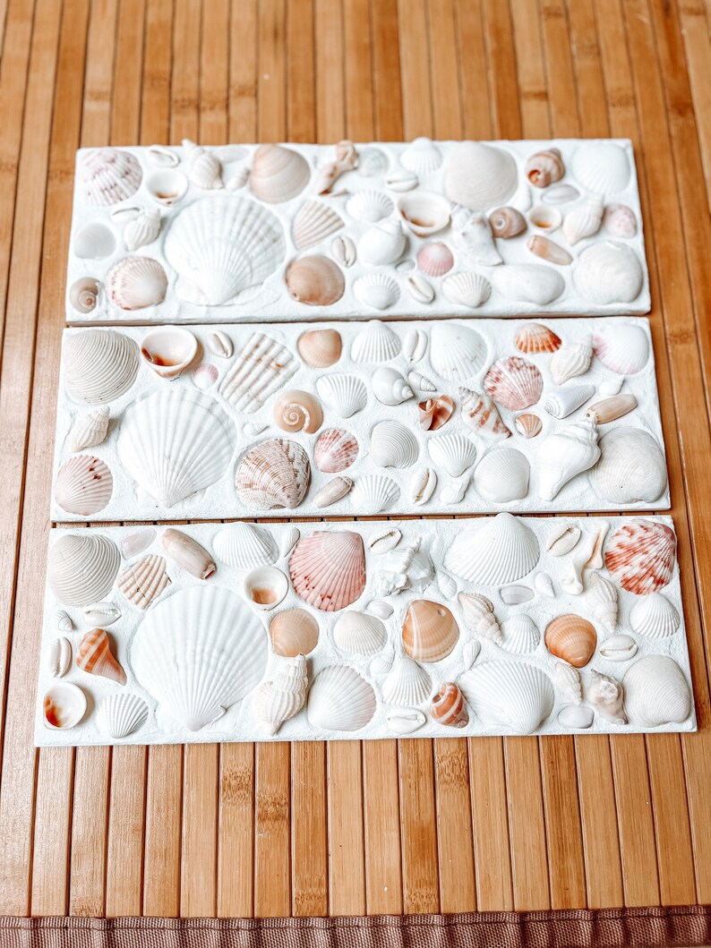 Sea Shell Tile Coastal Decor, Mosiac Tile With Shells, Fireplace Tile ...