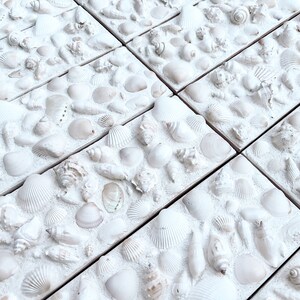 Seashell Coastal Decorative Tiles, Custom Deco Tile, Seashells, Coastal ...